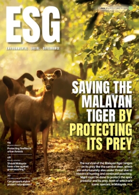 Digital Newsstand | ESG | 19/05/2025